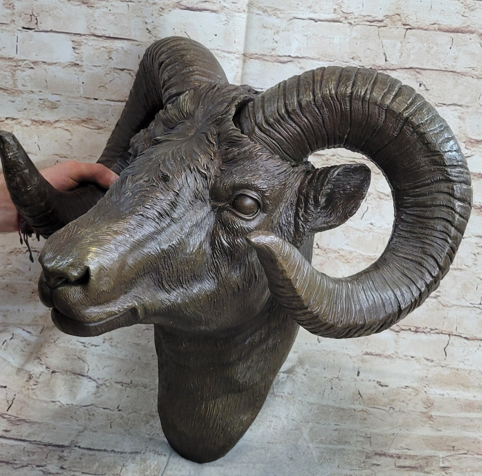 Incredible Detailed Large Wall Mount Rams Head Bronze Sculpture Figuri ...