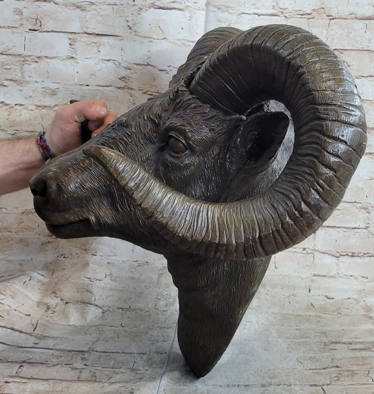 Incredible Detailed Large Wall Mount Rams Head Bronze Sculpture Figuri ...