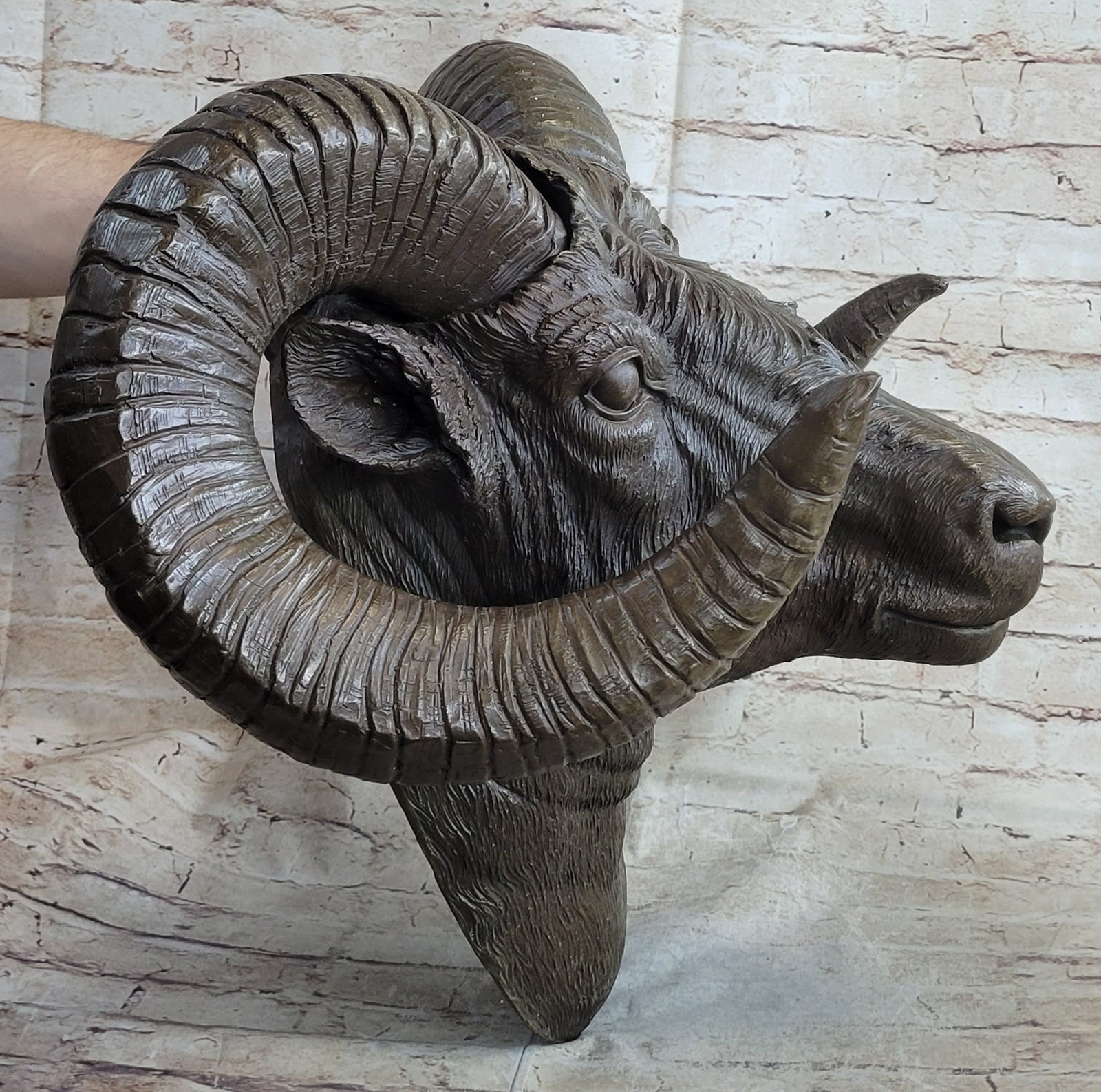 Incredible Detailed Large Wall Mount Rams Head Bronze Sculpture Figuri ...